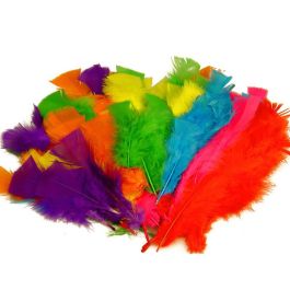 Feathers Large 30gm Approx. 140 Per Bag Assorted | Science First