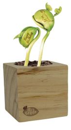 Magic Bean | Science First