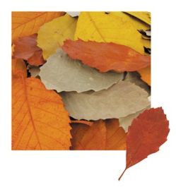 Natural Leaves, pkt/90 | Science First