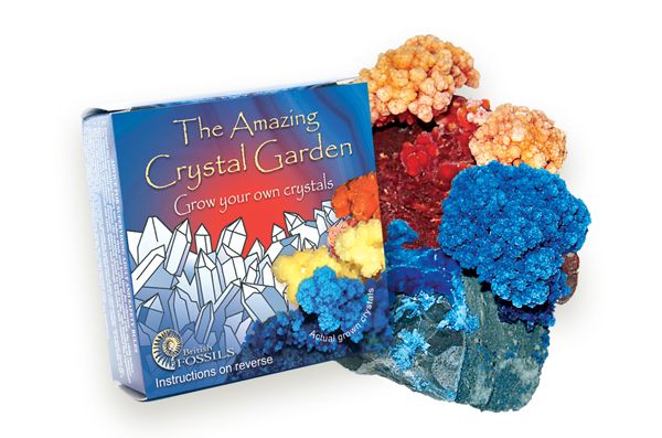 Amazing Crystal Garden | Science First
