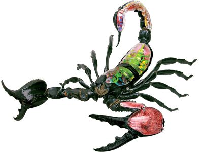 4D Vision Scorpion Anatomy Model | Science First
