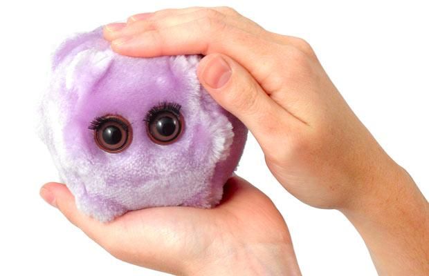 GIANT Microbes | Science First