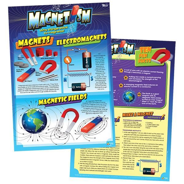 Magnetism Poster | Science First