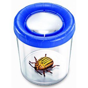 Mega Bug Viewer | Science First