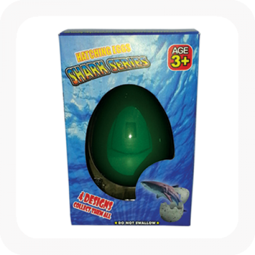 Shark Hatching Egg | Science First