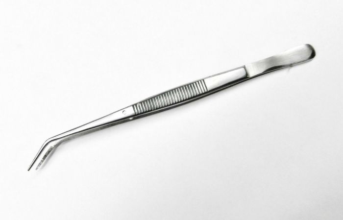 Forceps, Bent Tip, 110mm | Science First