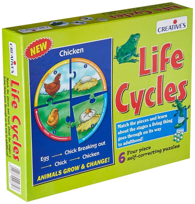 Life Cycles puzzle | Science First