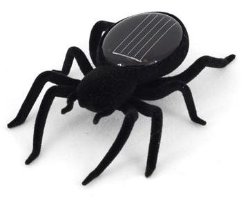 Competition: Super Spiders | Science First